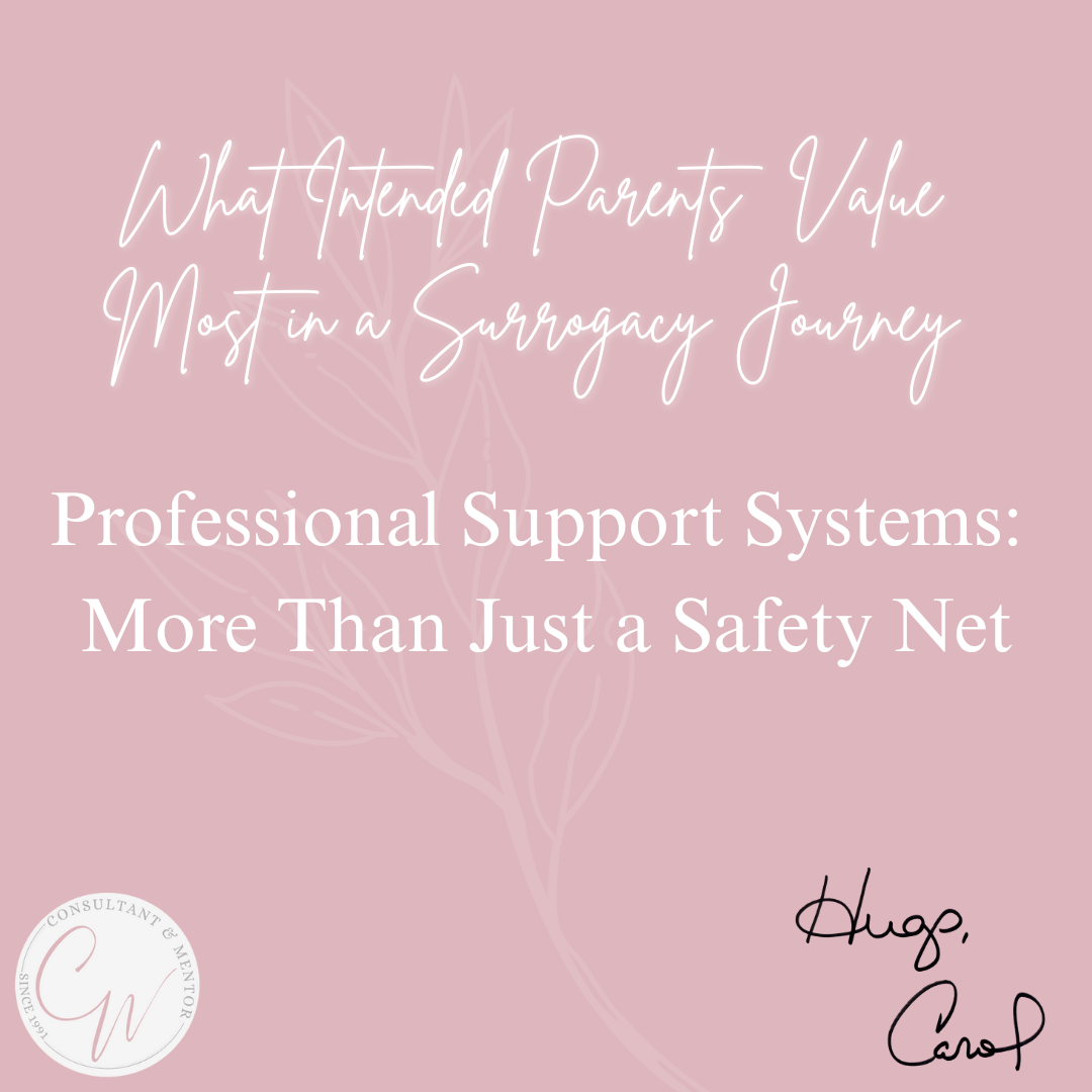 Professional Support Systems: More Than Just a Safety Net - Building ...